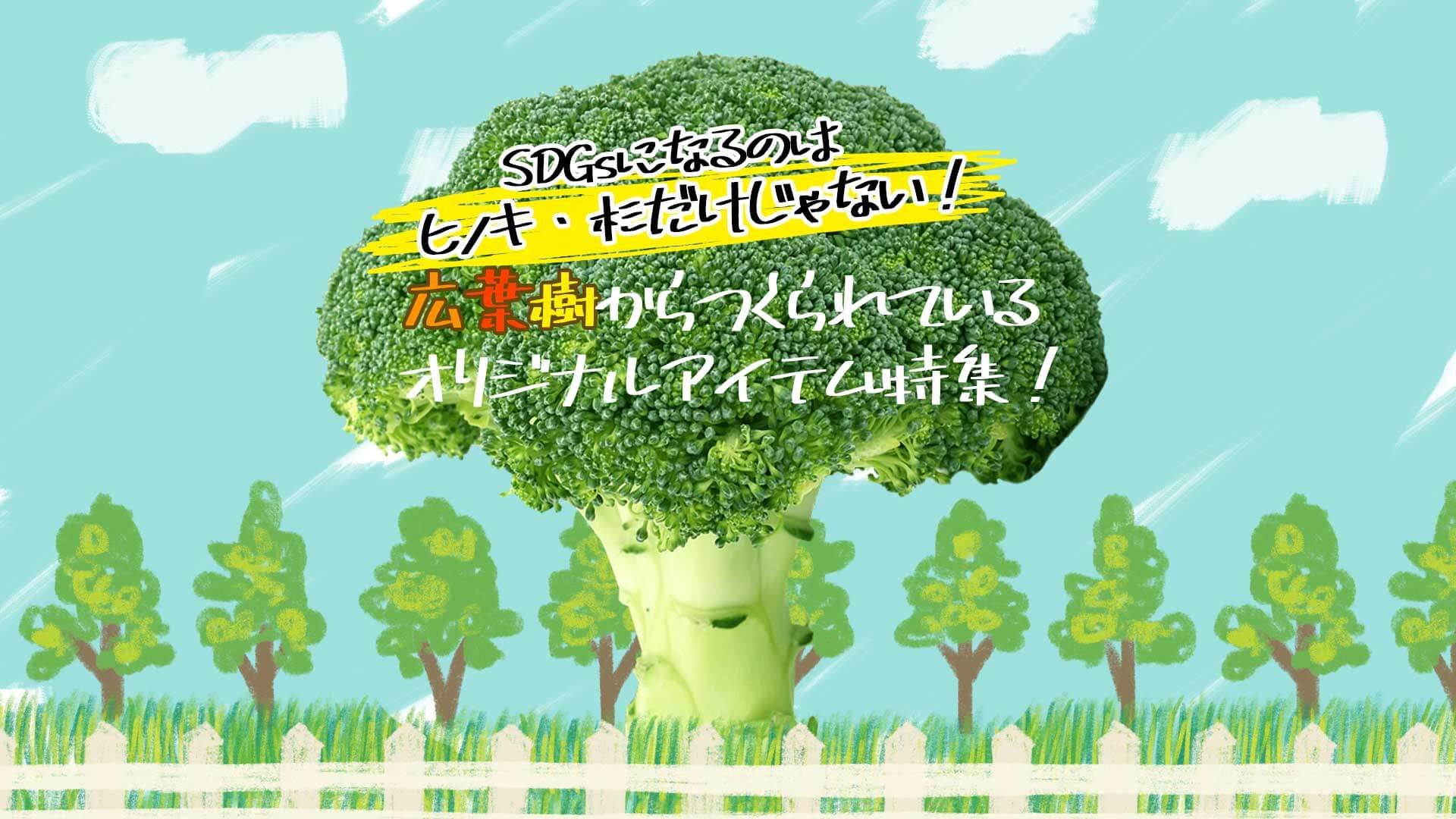 SDGsになるのはヒノキ・杉だけじゃない！広葉樹からつくられているオリジナルアイテム特集！